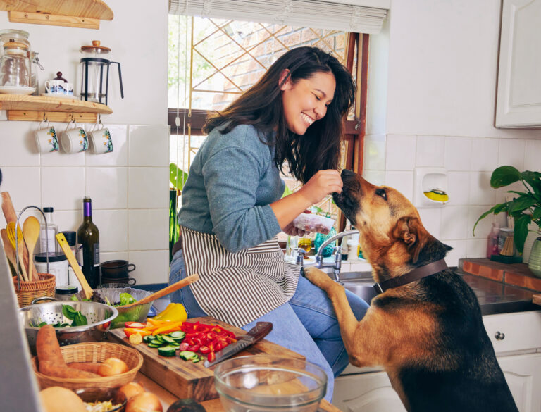 8 Herbs and Spices That Are Good for Dogs - Pet Health MD