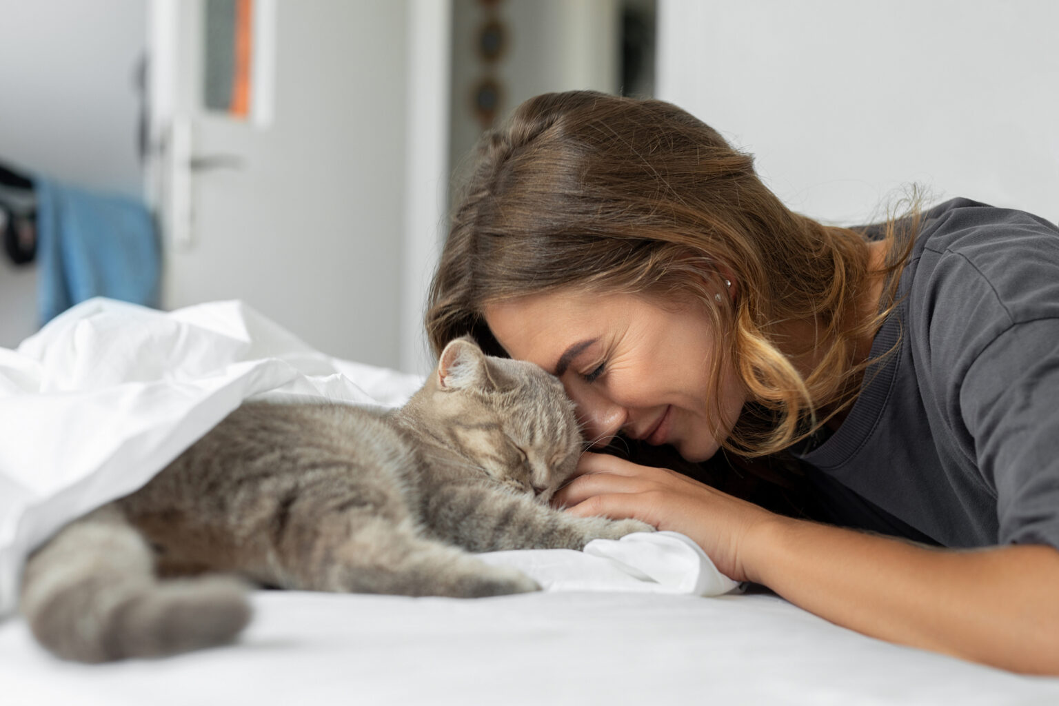 How Much Do Cats Sleep? Decoding Your Cat’s Sleep Cycle - PetHealthMD